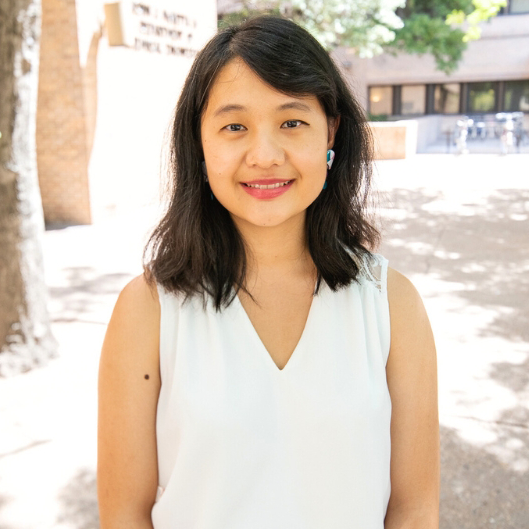 Computational Materials & Electrochemistry | Allen J. Bard Center for Electrochemistry